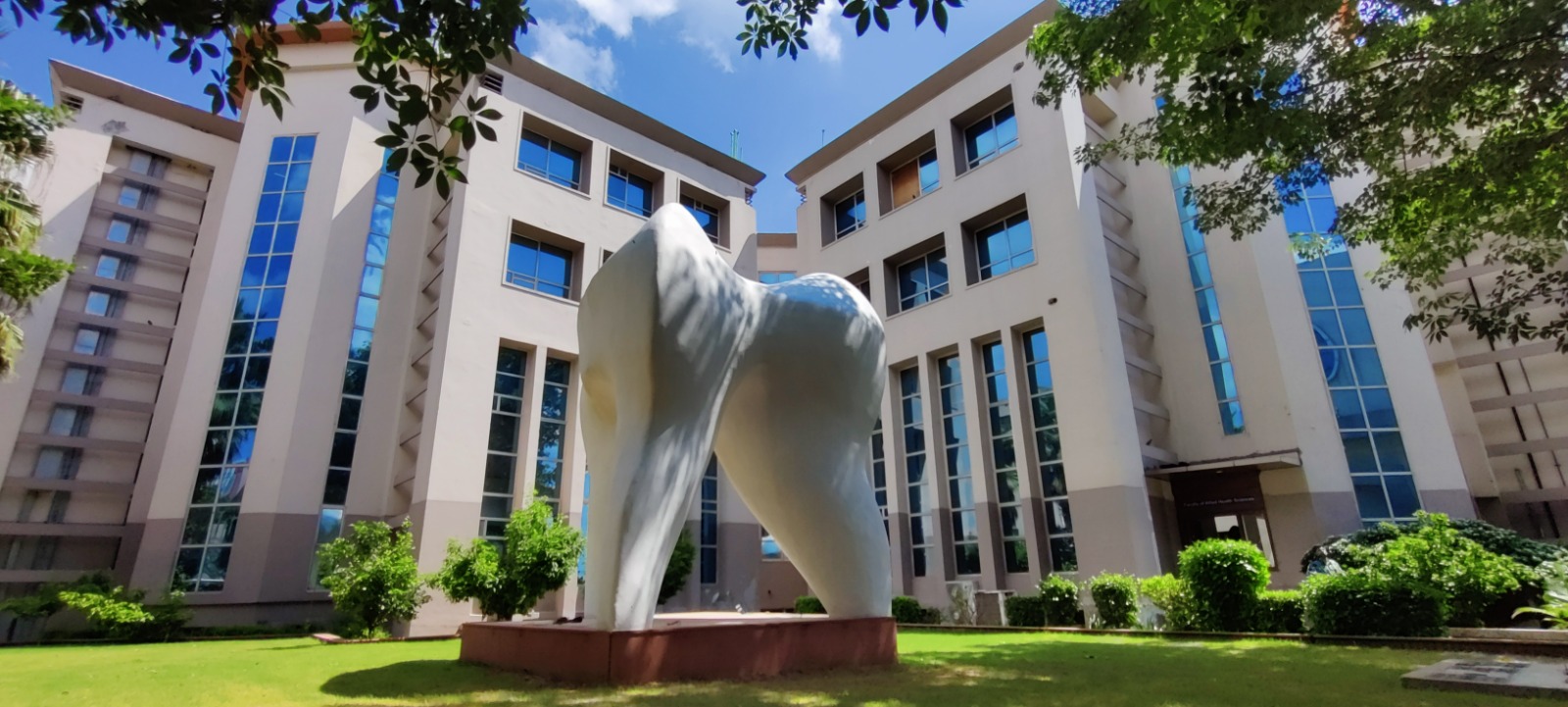 BDS Degree by Manav Rachna Dental College & Hospital Under the Aegis of ...